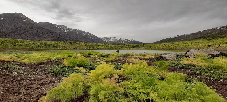 Amazing Trekking & Mountaineering tour from Dena Eastern Ridge