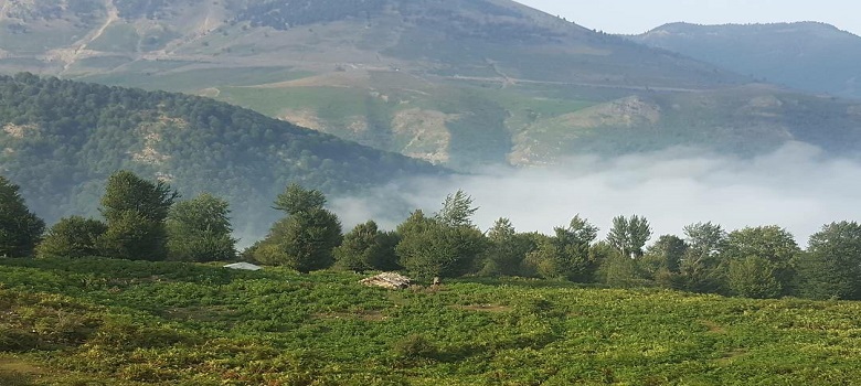 Best Hiking trails from Hirkani Forest Path to Masouleh