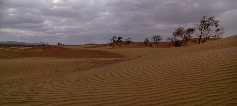 Exploring the magnificent Kavir (Desert) National Park in Iran
